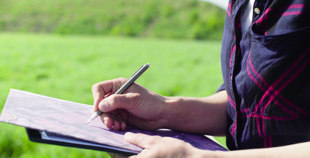 Biodiversity Net Gain Experts: Avoid Planning Delays – BNG Plans